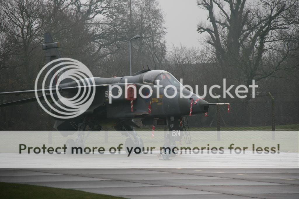 RAF Museum Cosford inc a couple of cats in the mist. - FighterControl