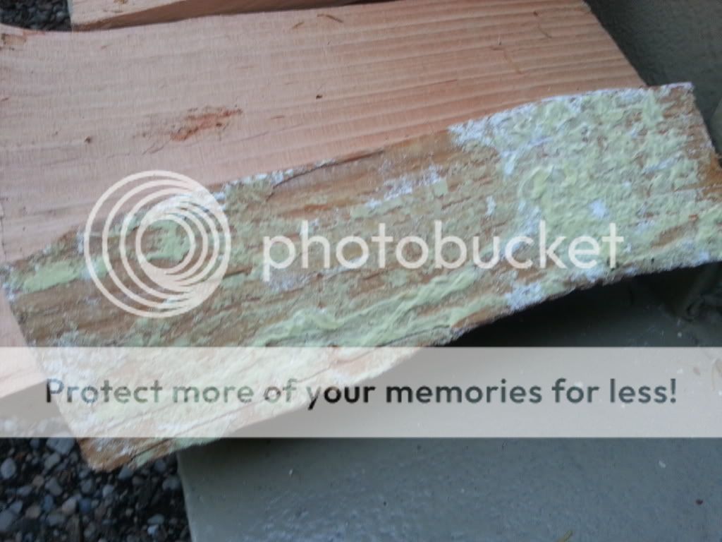 Super Sappy wood | Hearth.com Forums Home